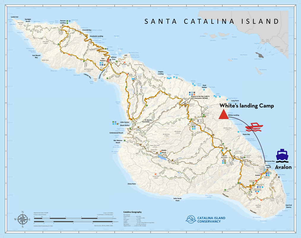 Camp on Catalina Island | Camp Catalina White's Landing